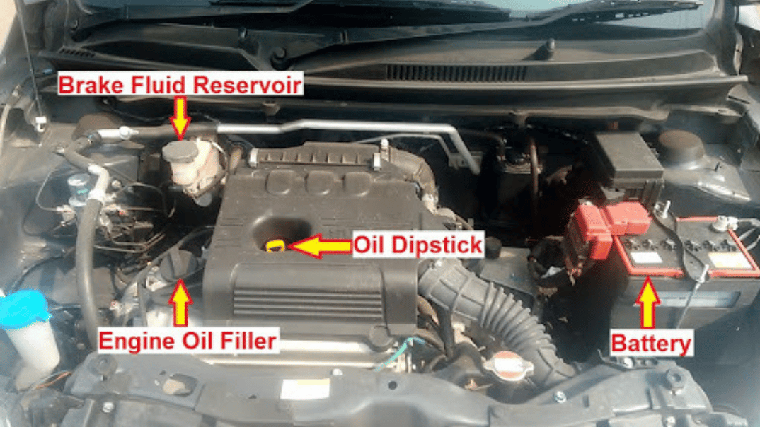 Everything you need to know about fuel