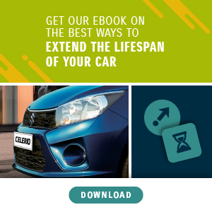 Download our guide to extending the lifespan of your car